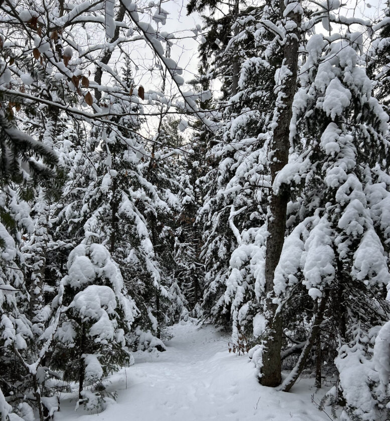 Wintry week continues with snow, wind today | News, Sports, Jobs ...